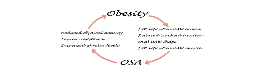 Recognizing the OSA and Obesity Cycle - Millennium Sleep Lab